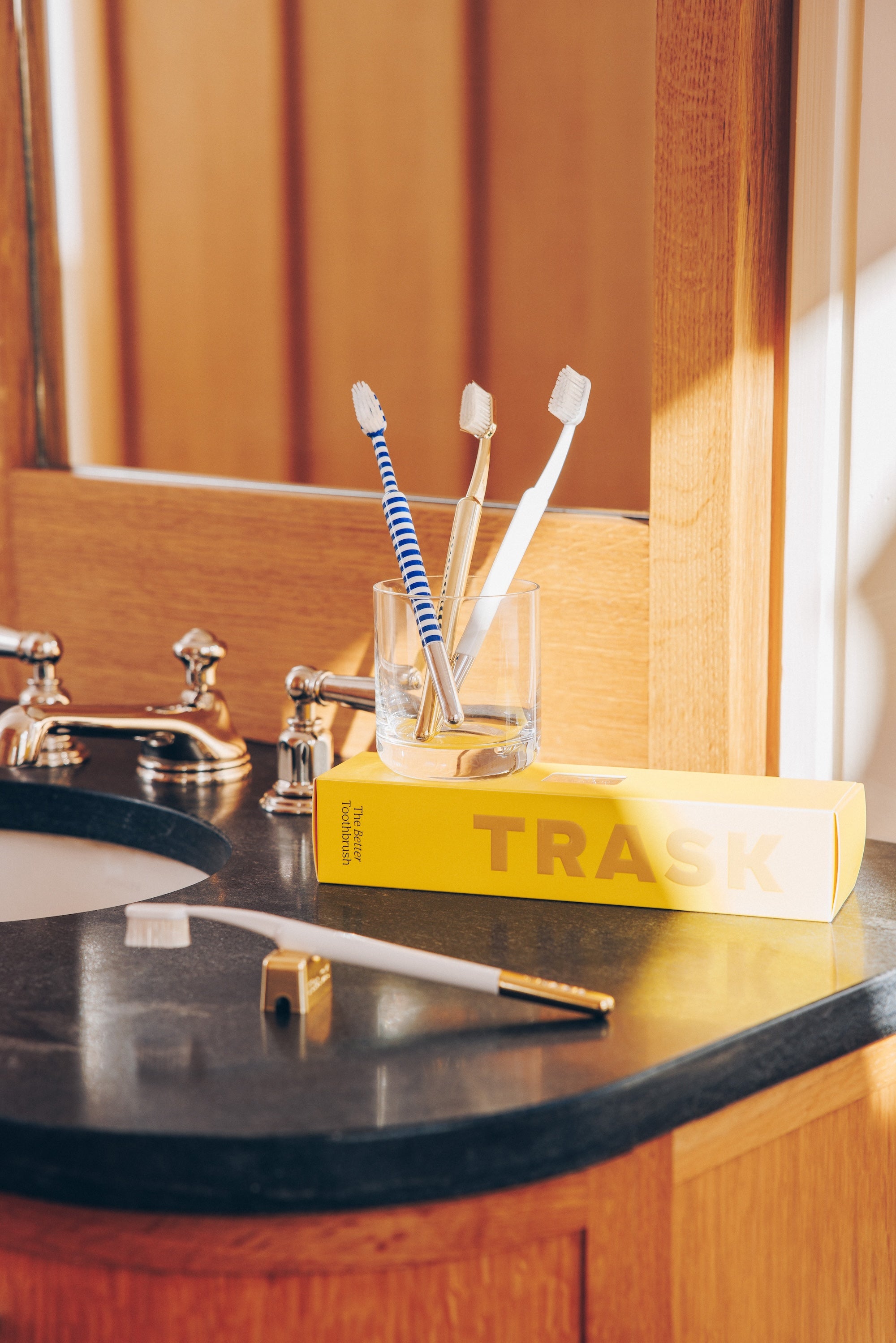 Luxury Manual Toothbrush - The Better Brush by TRASK
